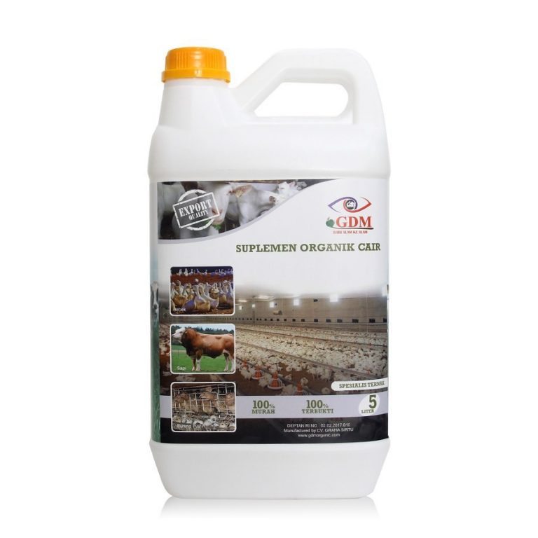 Usaha Ternak Domba Modal Kecil Menguntungkan Untuk Pemula