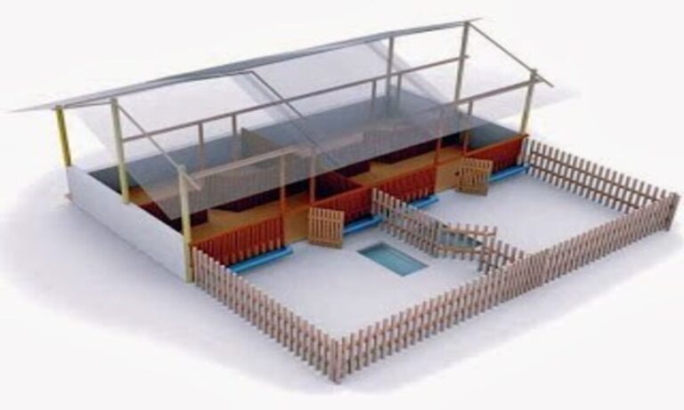 Kandang Bebek: Jenis, Ukuran, Sistem, dan Peralatannya