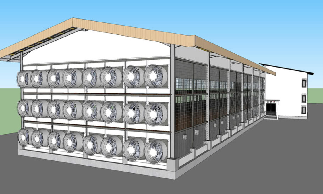 Kandang Ayam: Jenis, Ukuran, Sistem, dan Peralatannya