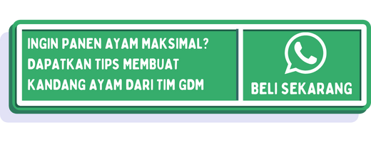 Kandang Ayam: Jenis, Ukuran, Sistem, dan Peralatannya