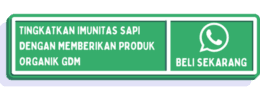 Penyakit Sapi: Jenis, Penyebab, Cara Mengatasi dan Pencegahannya