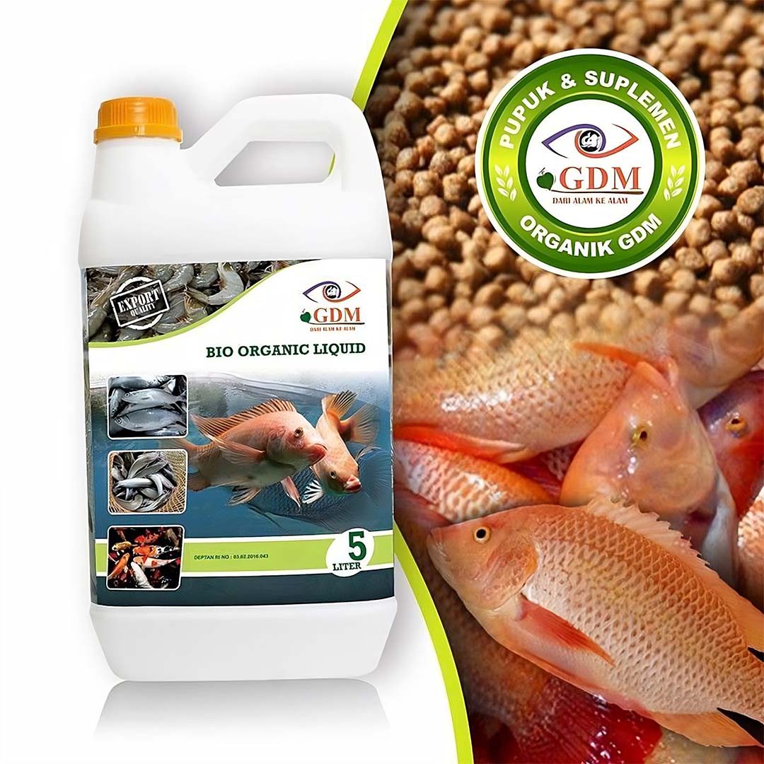 Cara Pembibitan Ikan Mujair & Langkah Sukses Panen Besar