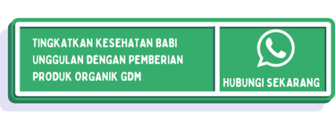 6 Jenis Babi Untuk Budidaya Terbaik: Ciri hingga Tips Memilih