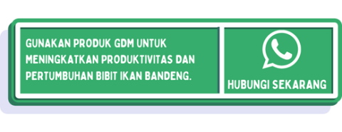 Cara Budidaya Bandeng di Kolam Terpal, Mudah dan Potensial!